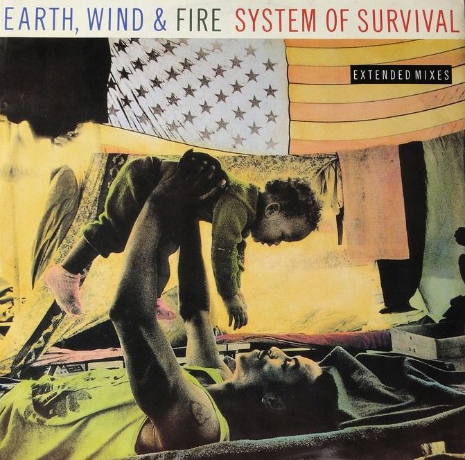 EWF Earth Wind Fire - System Of Survival 12'' M 13483887148 - Sklepy ...
