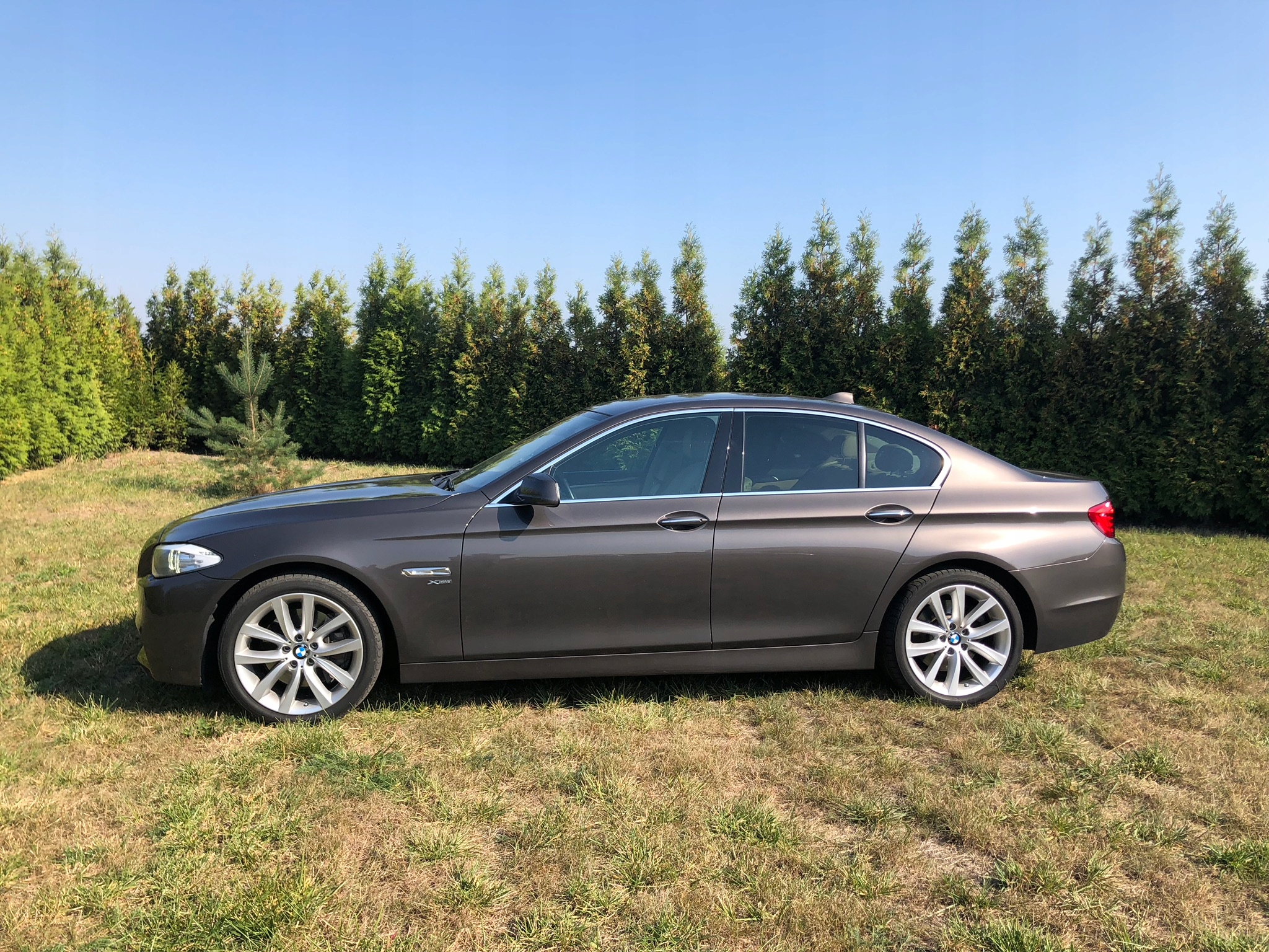 BMW F10 535i xDrive - 7665097805 - oficjalne archiwum allegro