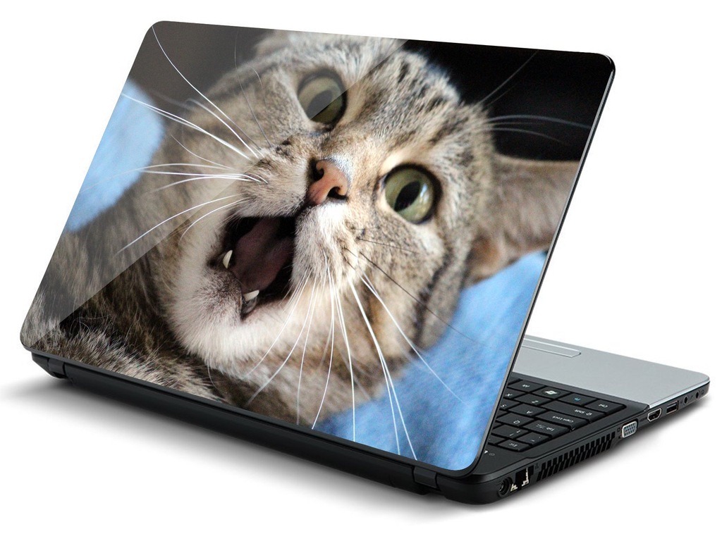 NAKLEJKA NAKLEJKI SKIN na Laptopa Koty Zwierzaki - 7118695255 ... NAKLEJKA NAKLEJKI SKIN na Laptopa Koty Zwierzaki - 7118695255 ...
