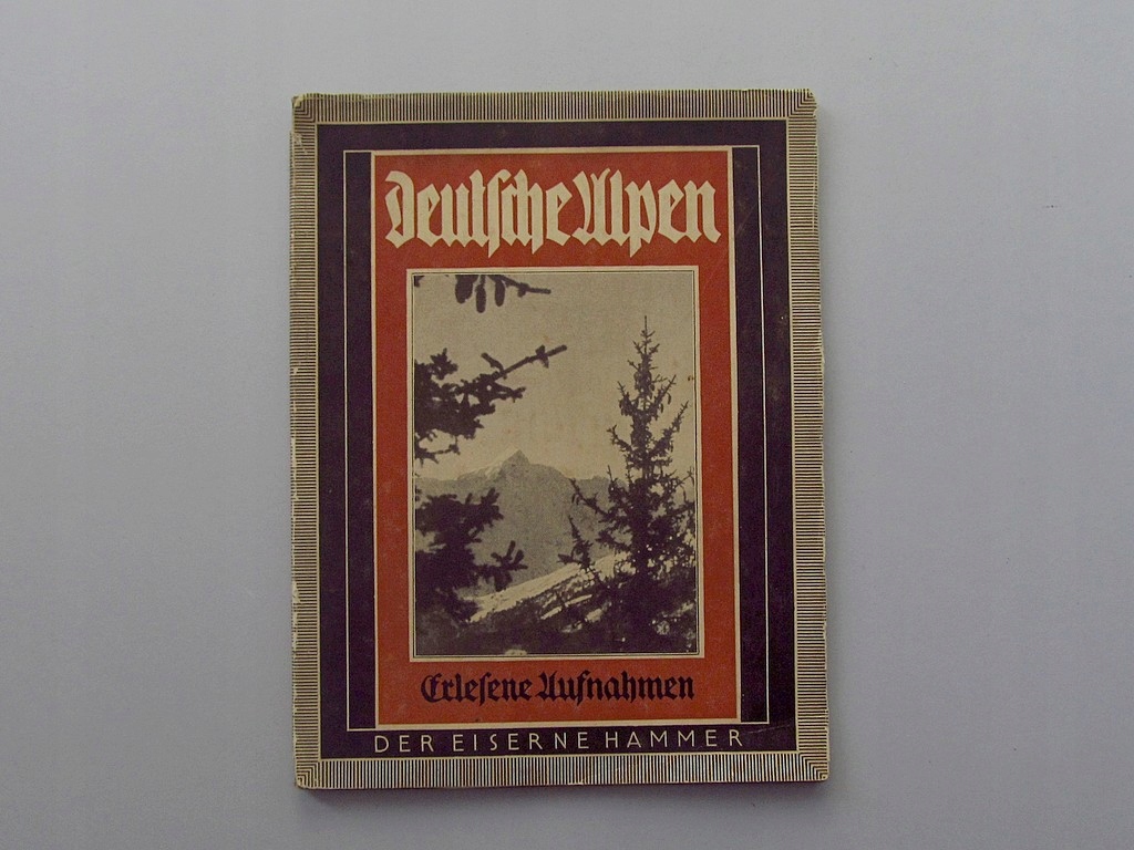 1930/40 STARY ALBUM KSIĄŻKA ALPY GÓRY ZDJĘCIA - 7625040728 - oficjalne ...