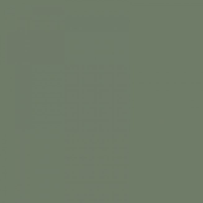 Farba w spray'u ENAMEL - SAC BOMBER GREEN FS34159 - 7585670304 ...