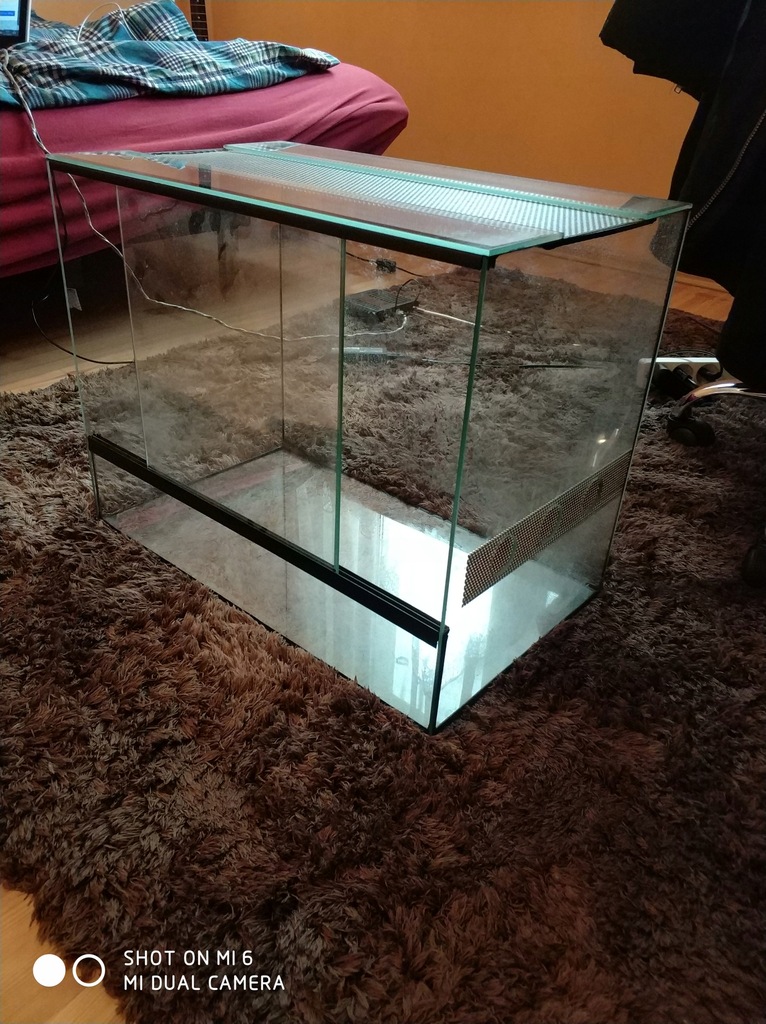 Terrarium 50X30x40 - 7636223841 - oficjalne archiwum Allegro