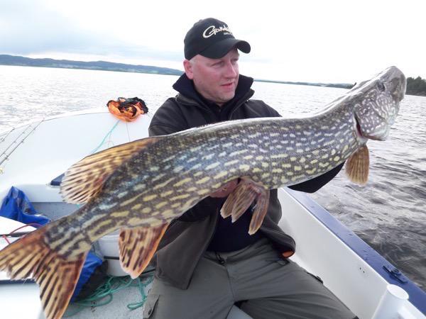 WĘDKA SHIMANO TECHNIUM CAST 2,08/28-84g z PAZUREM - 7128207124 ...